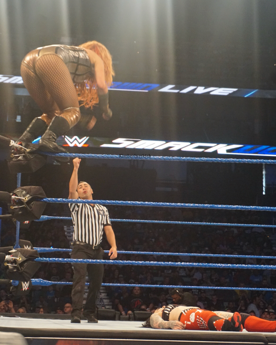 Photo Gallery - Pro Wrestling Pix